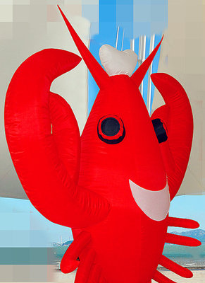 Oxford Cloth PVC Tarpaulin With Light Cartoon Inflatable Toys Custom Made Products