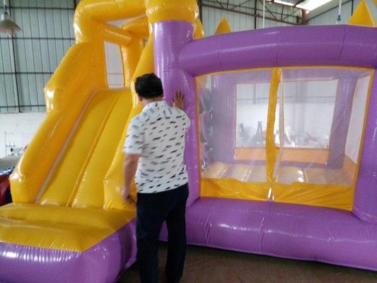 0.45 + 0.55MM PVC Tarpaulin Purple Minnie Inflatable Bouncer Castle For Children