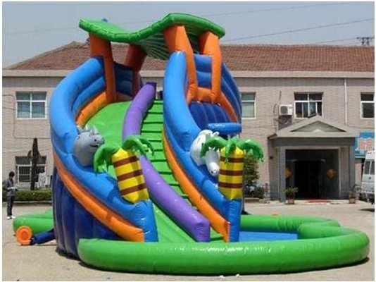 Special Customized Inflatable Dry Slide 0.9 Mm PVC Tarpaulin For Outdoor Game