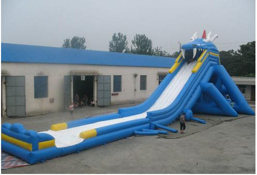 Special Customized Inflatable Dry Slide 0.9 Mm PVC Tarpaulin For Outdoor Game