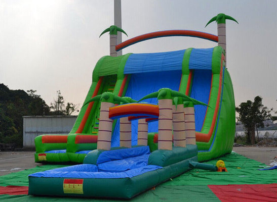 Colorful 0.55mmpvc Tarpaulin 8*6*5m Inflatable Slide With Swimming Pool For Outdoor Sports