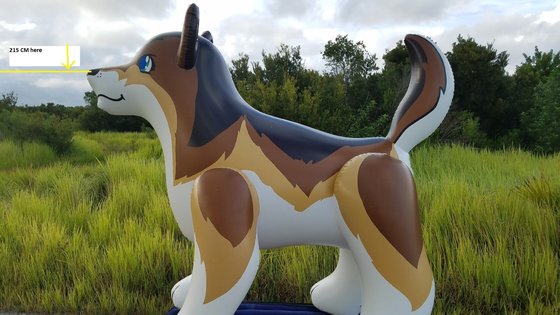 Customized Attractive Colorful Inflatable Animals Inflatable Horse / Dogs For Event