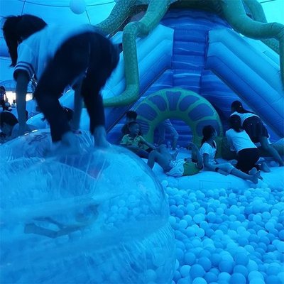 Fireproof Children Inflatable Tent With Ocean Ball Pool 0.9mm PVC Tarpaulin