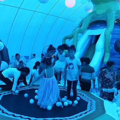 Fireproof Children Inflatable Tent With Ocean Ball Pool 0.9mm PVC Tarpaulin