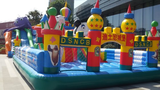 Inflatable Trampoline Jumping Bouncer Castle Custom Inflatable Disney Childrens