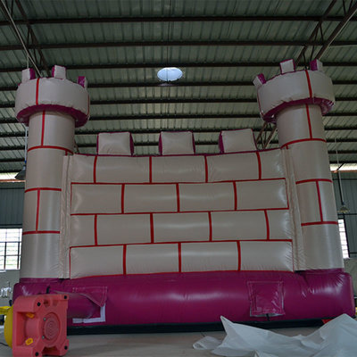 Interesteing Cartoon Castles Inflatable Bounce House With Air Pump And Repair Kits