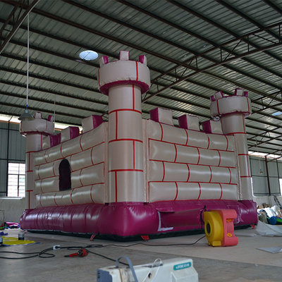 Interesteing Cartoon Castles Inflatable Bounce House With Air Pump And Repair Kits