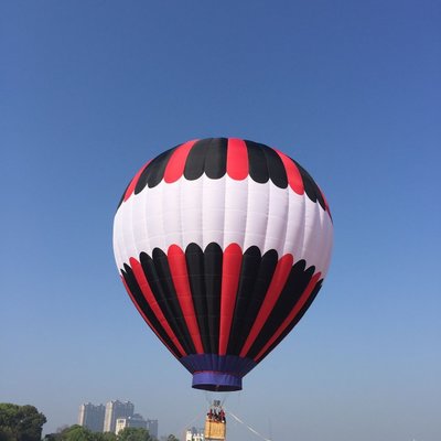 PVC Tarpaulin Inflatable Hot Air Balloon for Commercial Use or Wedding Trip by Ride a Balloon