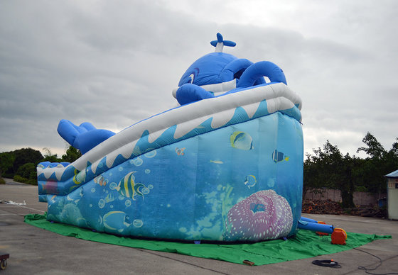 Customized Durable Giant Inflatable Slide Material PVC And Tarpaulin With Fireproof