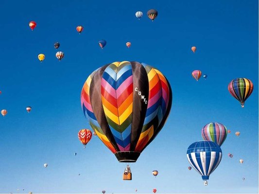 Advertising Customized Inflatable Hot Air Balloon Flights For Party