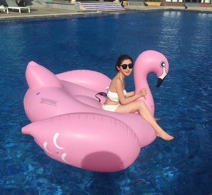 Custom Lovely Animal Shape Inflatable Swim Ring For Children / adult , PVC Pool Float