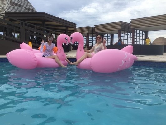 Custom Lovely Animal Shape Inflatable Swim Ring For Children / adult , PVC Pool Float