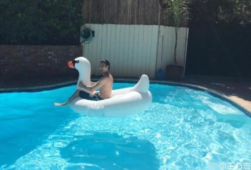 Giant Entertainment Swan Inflatable Swim Ring For Family , School