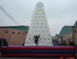 Exciting Inflatable Rock Climbing Wall , Shopping Mall Mountain Customized