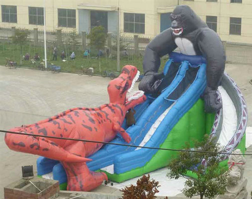 Playground Inflatable Sports Games For Kids , Race Slide Customized