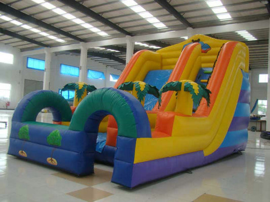 Playground Inflatable Sports Games For Kids , Race Slide Customized