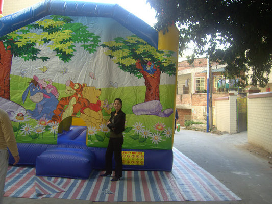 Exciting Commercial Inflatable Sports Games / Bouncing House / Bouncy Castle