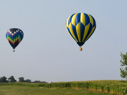 Inflatable Advertising Custom Printed Balloons