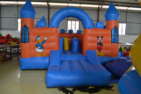 Disney PVC Tarpaulin Inflatable Sports Games , Funny Jumping Castles