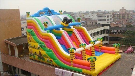 Paradise Park Recreation Facilities Inflatable Water Sports , Large PVC Inflatable Slides