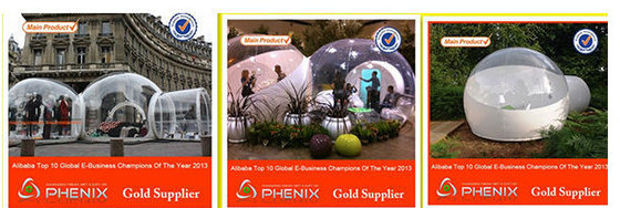 Double Plato PVC  Inflatable Party Tent Transparent Bubble Room