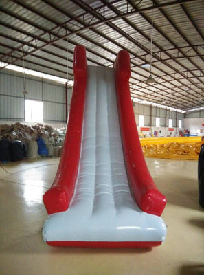 0.9mm PVC Tarpaulin Giant Inflatable Great Fun Water Slide For Adults