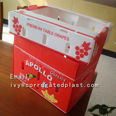 PP Fruit and Vegetable Box/ Recyclable Collapsible Coroplast Box for fruits and vegetables packing