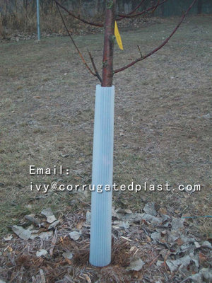 Easy fold, strong and light, Eco-friendly UV protected Corflute Tree Guards