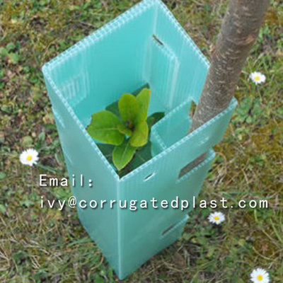 Easy fold, strong and light, Eco-friendly UV protected Corflute Tree Guards