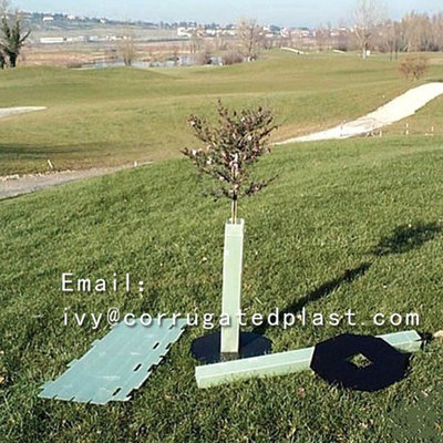 Easy fold, strong and light, Eco-friendly UV protected Corflute Tree Guards