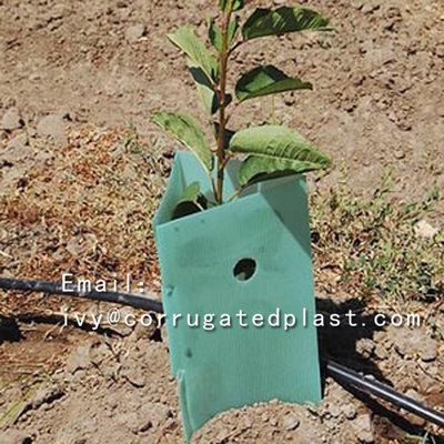 Easy fold, strong and light, Eco-friendly UV protected Corflute Tree Guards