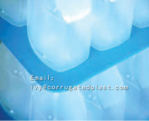 2MM 3MM 4MM 6MM corrugated plastic pallet layer pad/bottle layer pad coroplast plastic divider