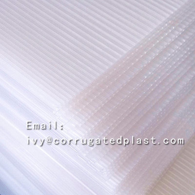 Factory 2-12mm Custom White PP Corrugated Plastic Corflute Sheet /Hollow Board