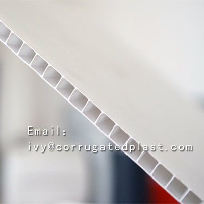 Factory 2-12mm Custom White PP Corrugated Plastic Corflute Sheet /Hollow Board