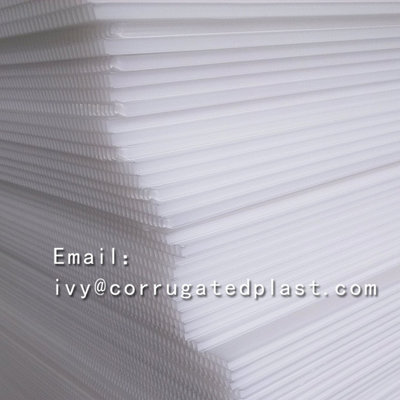 Factory 2-12mm Custom White PP Corrugated Plastic Corflute Sheet /Hollow Board