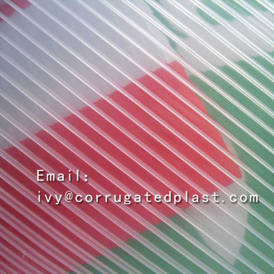Clear transparent corflute coroplast correx pp corrugated plastic sheet 4x8