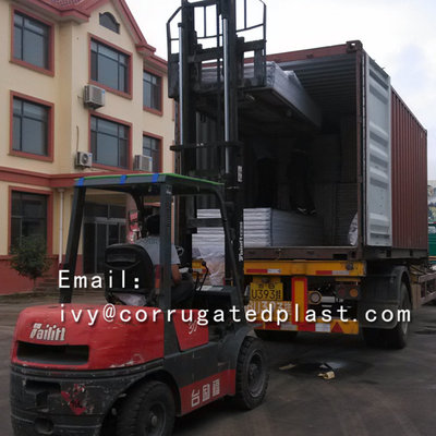 Clear transparent corflute coroplast correx pp corrugated plastic sheet 4x8