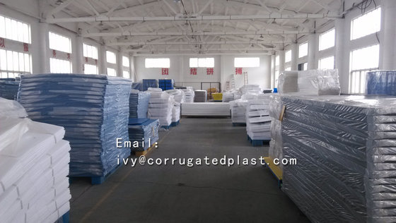 Clear transparent corflute coroplast correx pp corrugated plastic sheet 4x8
