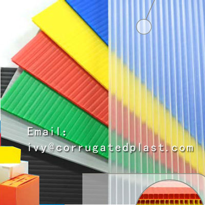 Clear transparent corflute coroplast correx pp corrugated plastic sheet 4x8
