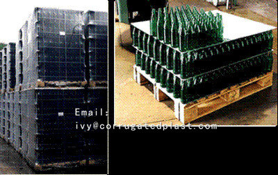 Corex Panels Coreflutes Coroplast PP Plastics Sheet for Pallet Layer Pad