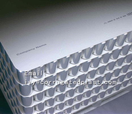 Corex Panels Coreflutes Coroplast PP Plastics Sheet for Pallet Layer Pad