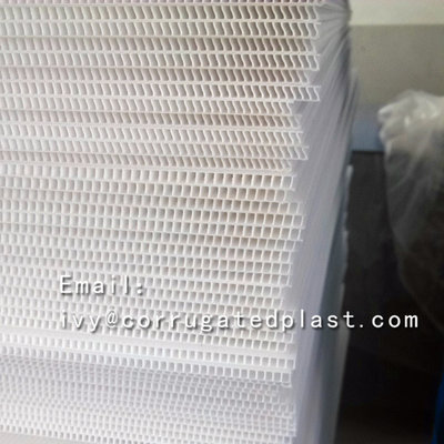 Polypropylene pp material carton plastic sheet plastic corrugated sheets for box