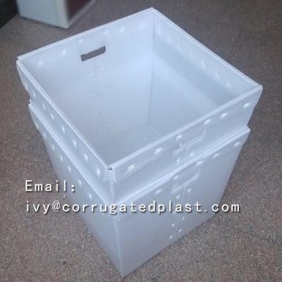 PP corrugated plastic correx tote frozen food box fish packaging box turnover box