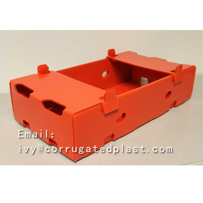 Corrugated plastic box for packaging, custom size plastic container box