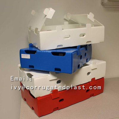 Corrugated plastic box for packaging, custom size plastic container box