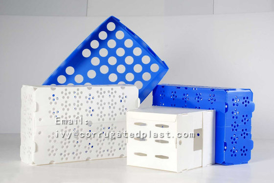 Corrugated plastic box for packaging, custom size plastic container box