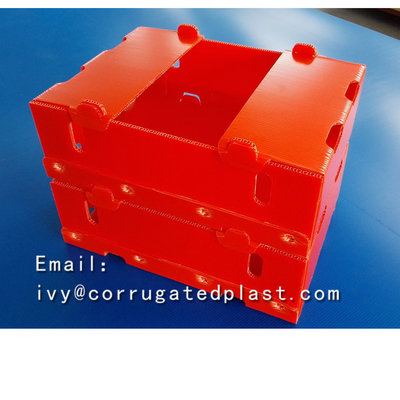 High Quality Folding Corrugated Plastic Reusable Box/Correx Box Supplier