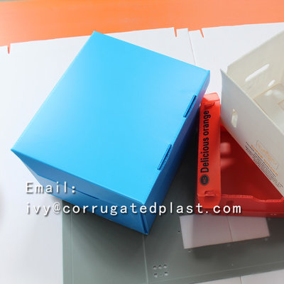 PP Corrugated Foldable Plastic File Box 2mm 3mm 4mm 5mm 6mm corrugated plastic sheet