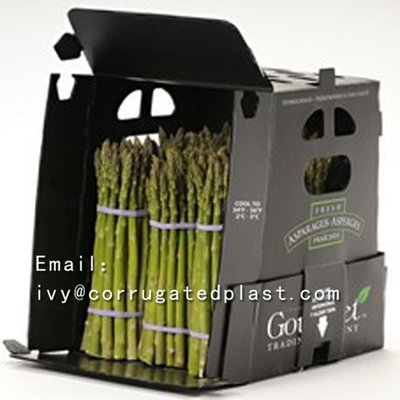 Fruit and vegetable corrugated plastic box ,fluted pp box ,twinwall pp box
