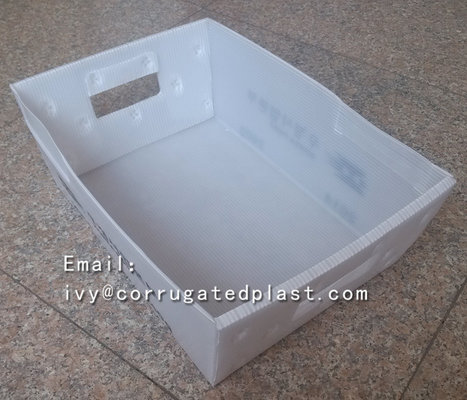 Hot sale foldable clear corrugated PP hollow sheet tool seafood fruit vegetable post plastic packing box